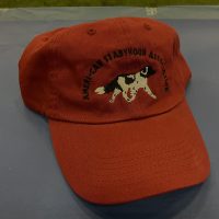 Embroidered Twill Hat